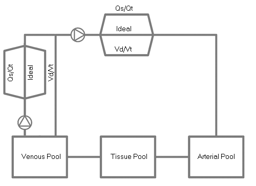 ECMO Simulation User Manual (v5.4)